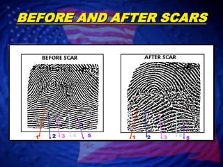 Scarred Patterns | PPT