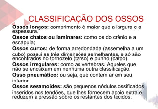 4ª aula Sistema Ósseo ou Esquelético.pdf.pdf
