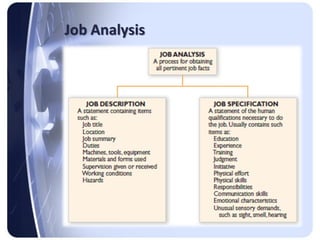 Organisational Chart (Model Struktur Organisasi) | PDF