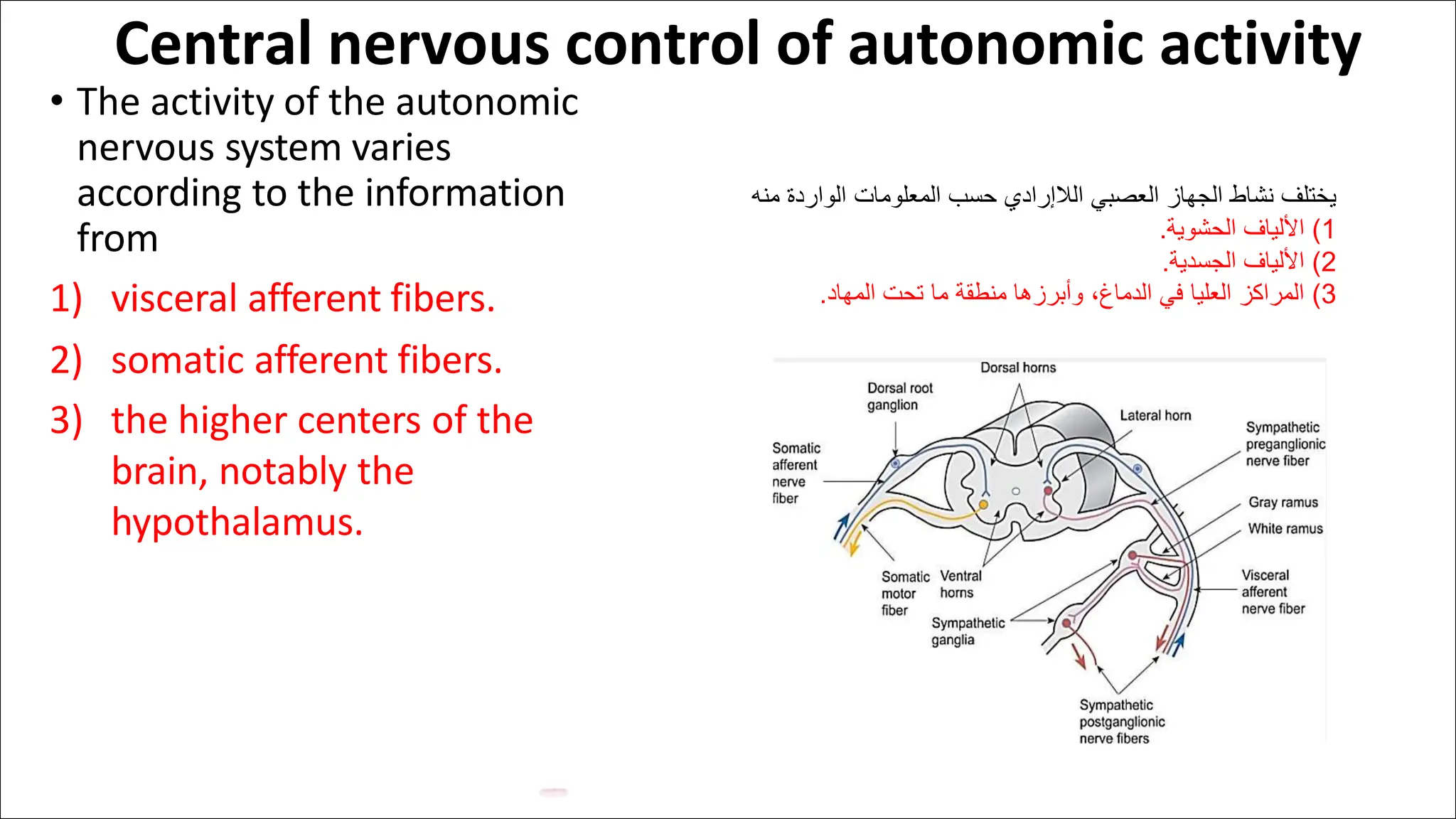 4_Autonomic_nervous_system_and_control_of_visceral_functions_lect.pptx