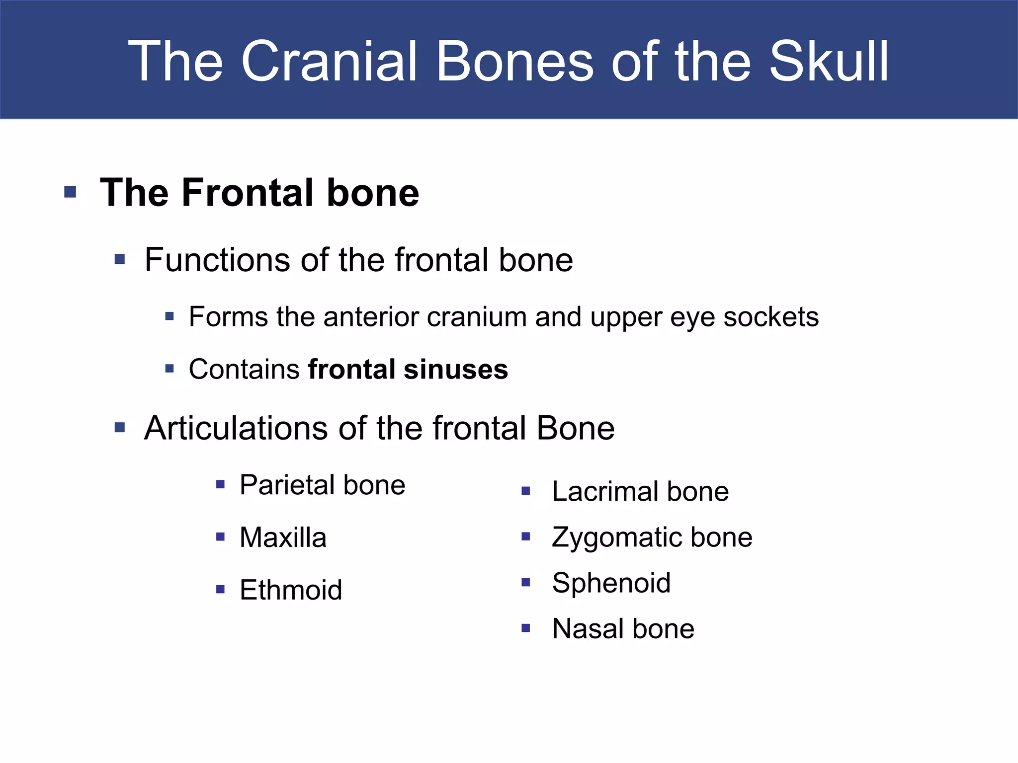 skeleton of human body, skeletal system of human body, skeleton anatomy ...