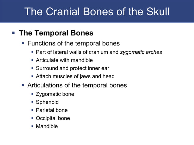 skeleton of human body, skeletal system of human body, skeleton anatomy ...