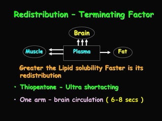 4b.Distribution & Plasma protein binding_08 Mar 2024.ppt