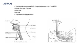 airway assessment part-2-Anesthesia | PDF