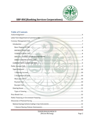 Internship+report+SBP-BSC(+Tehsin+khaliq) | PDF