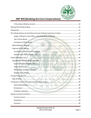 Internship+report+SBP-BSC(+Tehsin+khaliq) | PDF