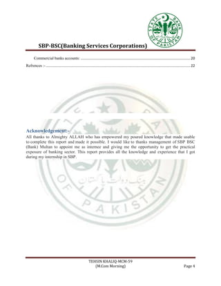 Internship+report+SBP-BSC(+Tehsin+khaliq) | PDF