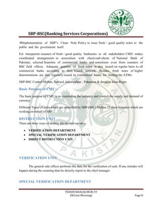 Internship+report+SBP-BSC(+Tehsin+khaliq) | PDF