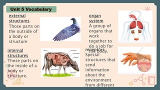 4b11ffbd6d2a (1).pptx