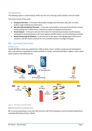 BIC_Brand Analysis | PDF