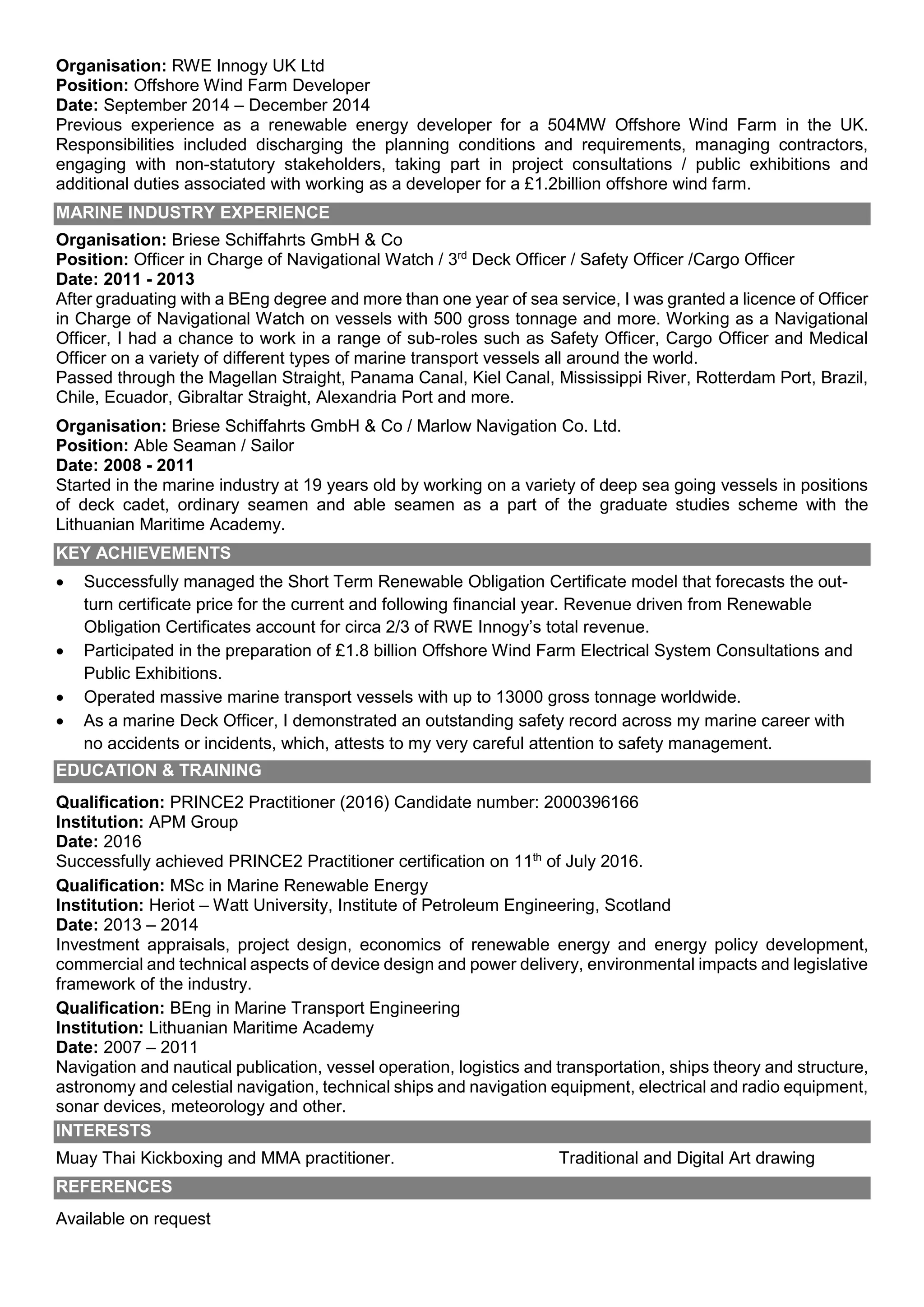 Romancov_BEng_MSc_CV | PDF