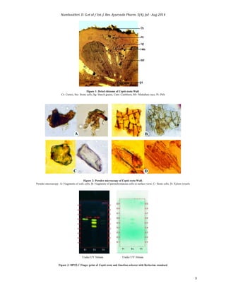 Coptis teeta SARDI | PDF | Herbs and Supplements | Alternative Medicine