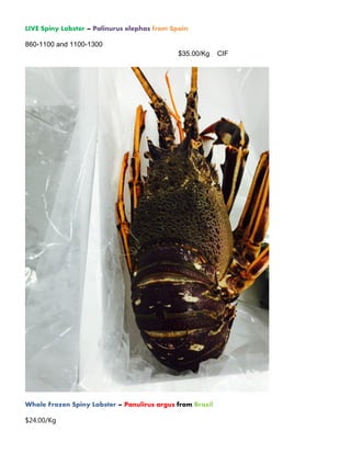 product highlight 7-20-15 | PDF