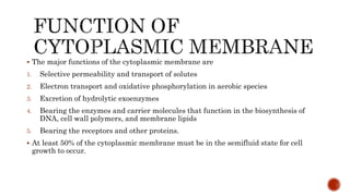 Bacteria cell structure.pptx