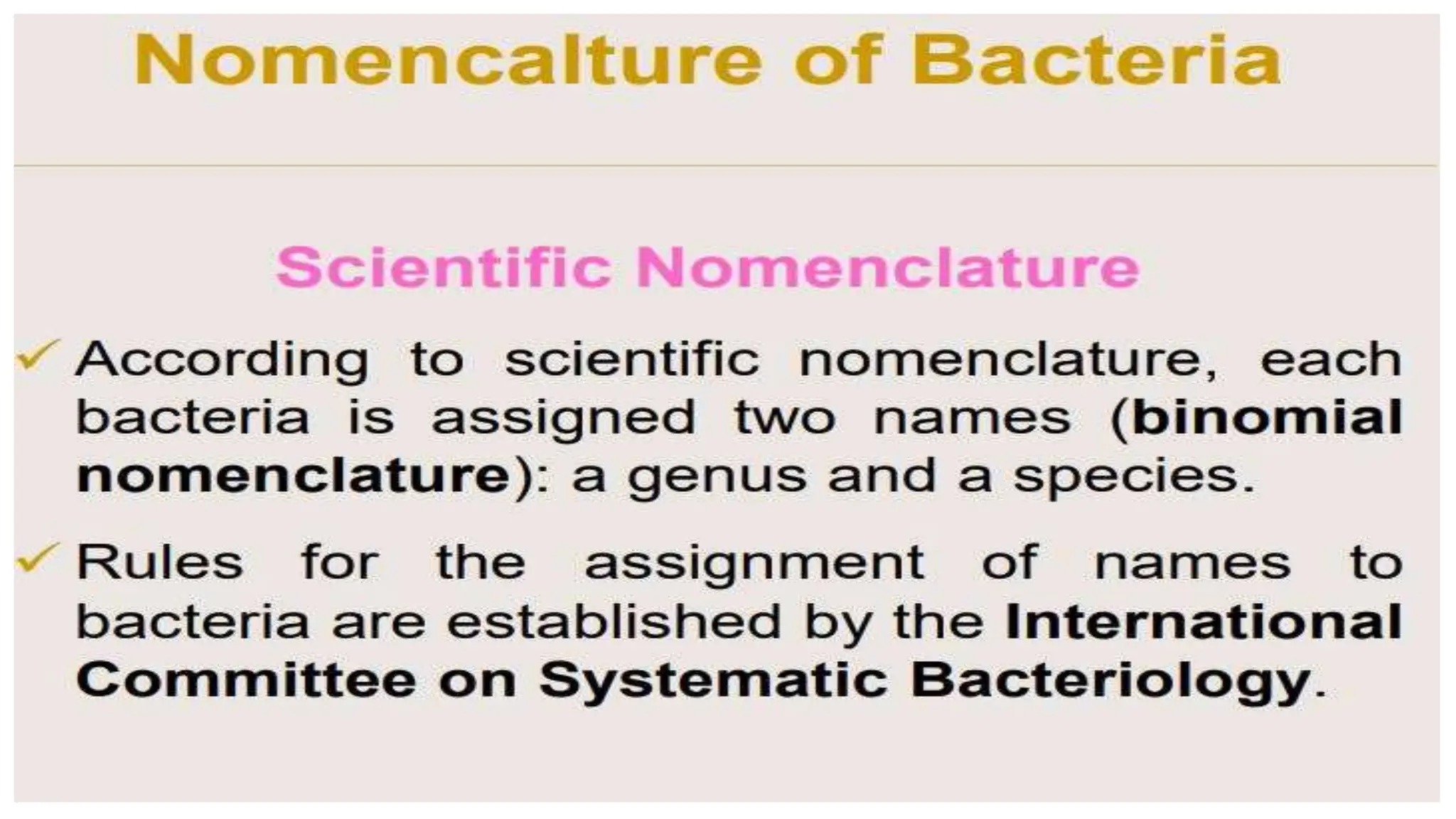 DPT - Bacterial Identification and Classifications | PPT