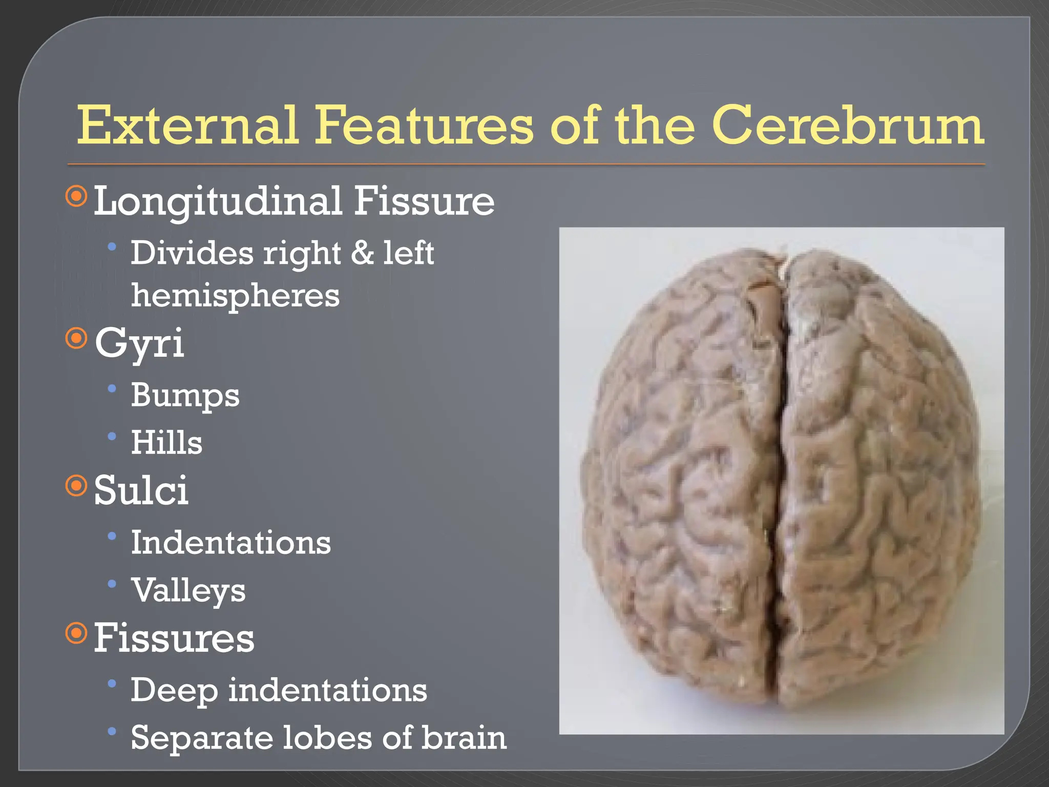 4 Basic Anatomy and Physiology - ch 8-9 - nervous system (1).pptx