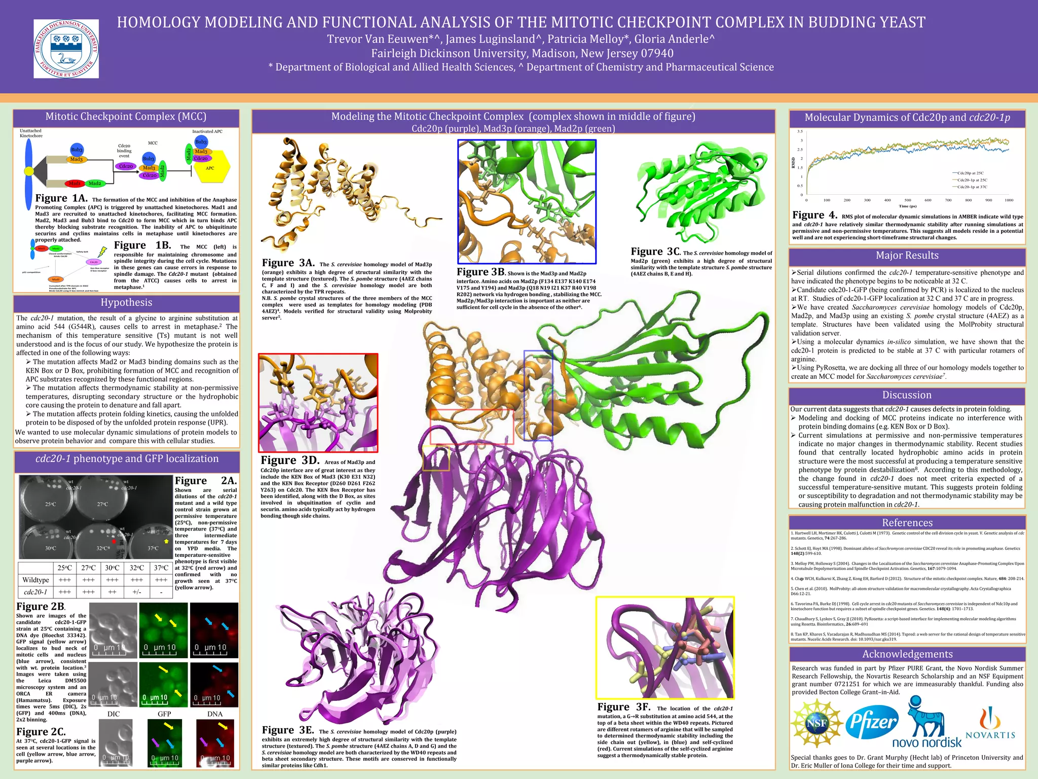 ASCB_Poster_edit_TM1_GA1_TV5 | PPT