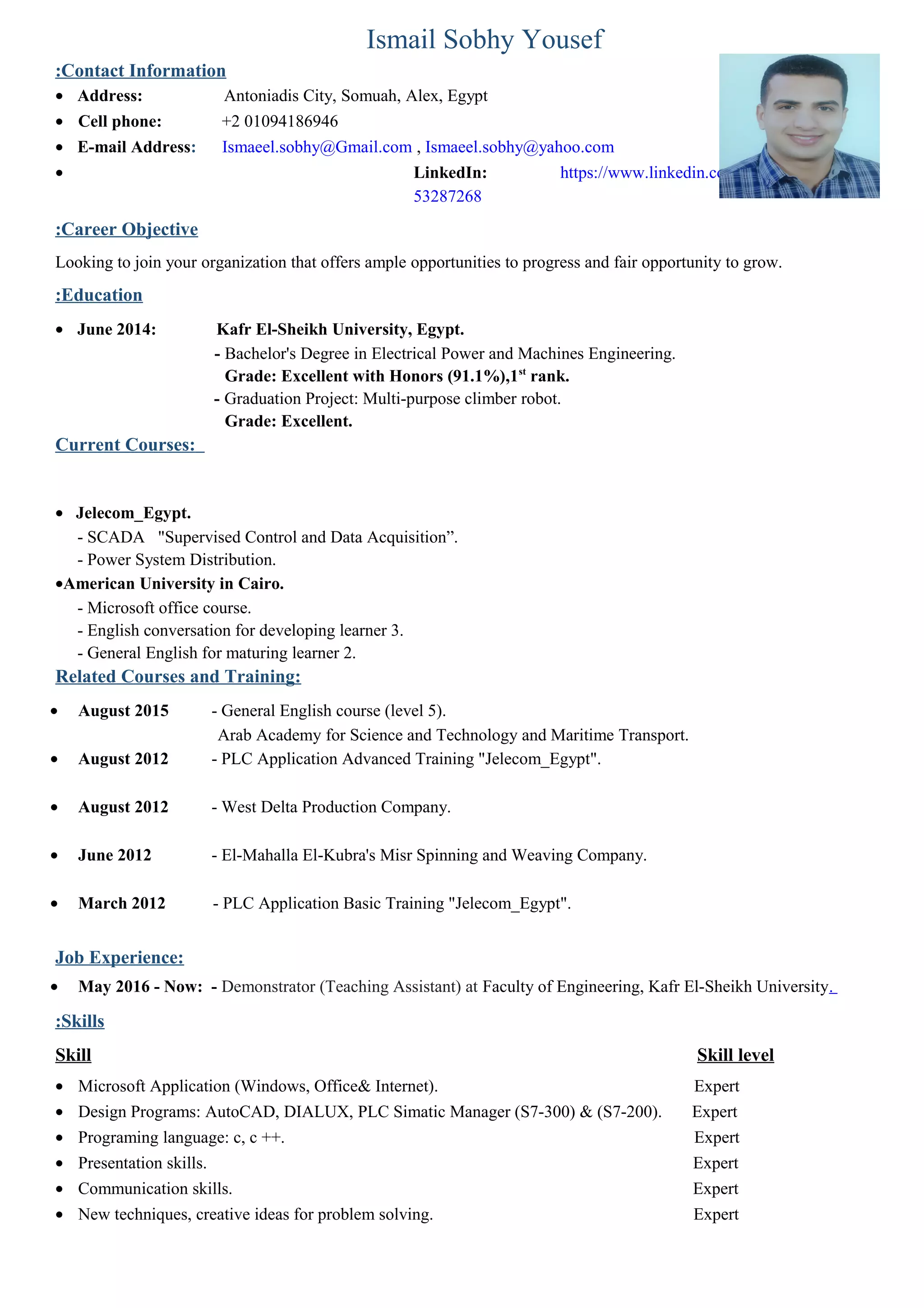Ismail's CV | PDF