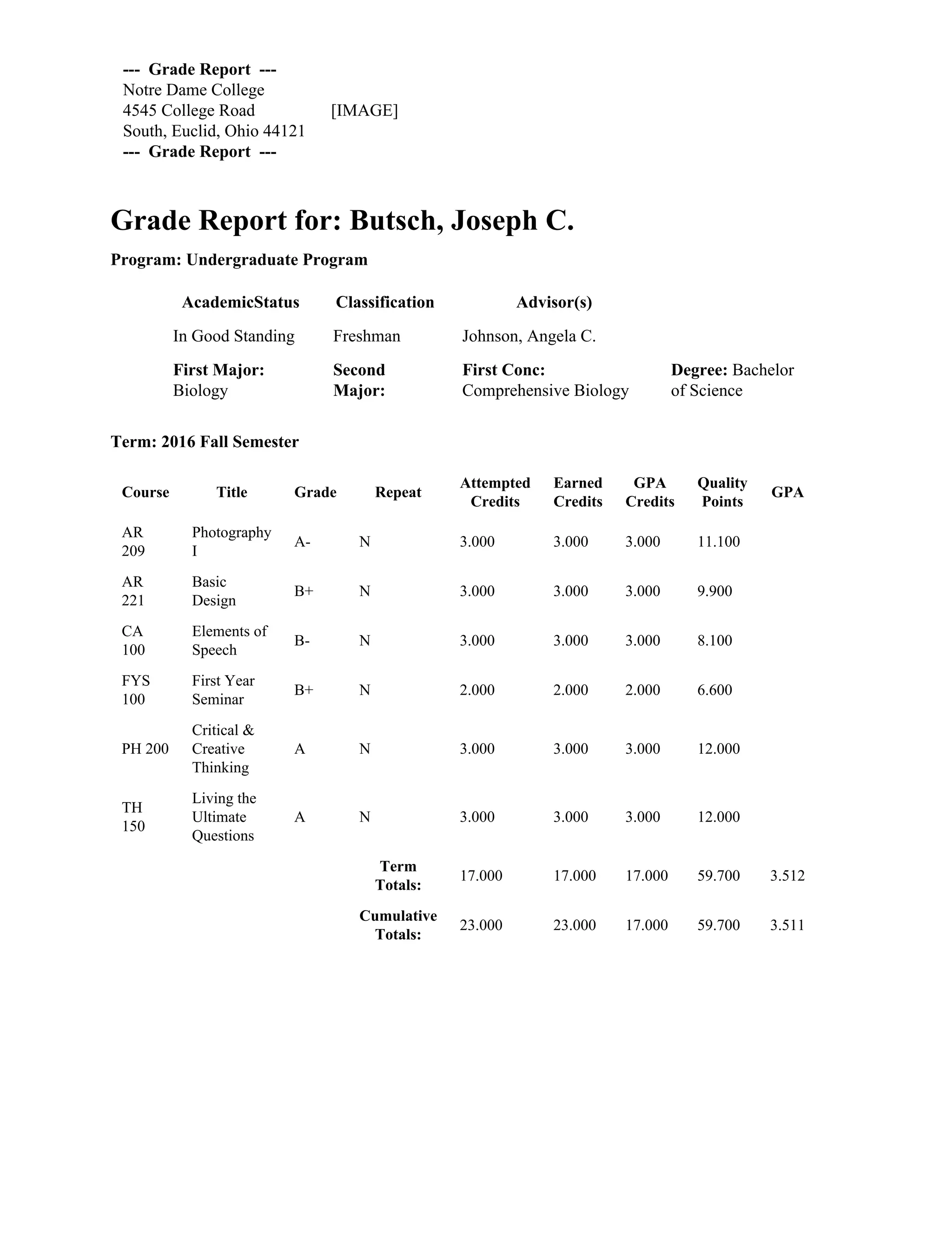 Joey First Semester Grades NDC | PDF