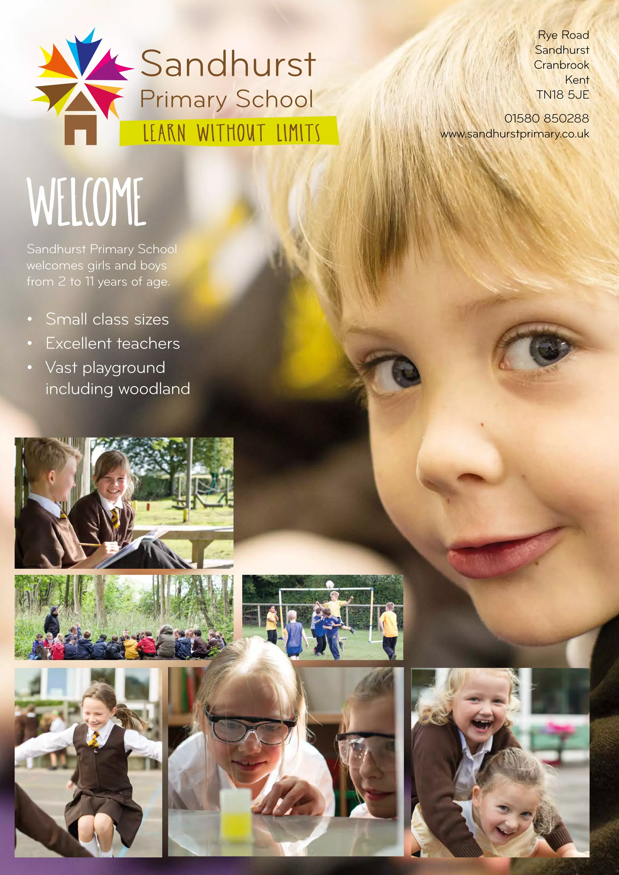 SandhurstPrimaryAdvert | PDF