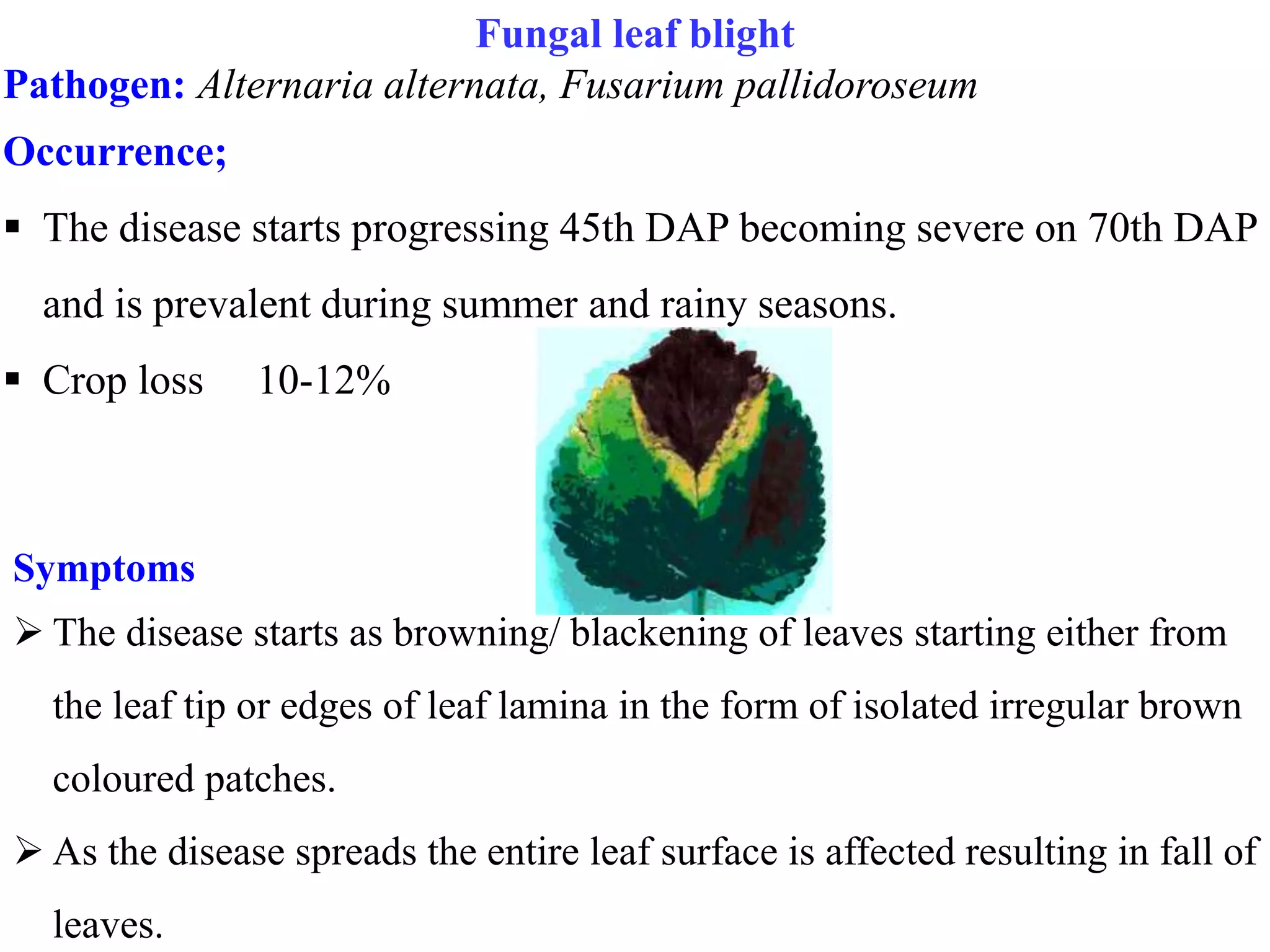 4 b chapter diseases of mulberry and their management | PPTX