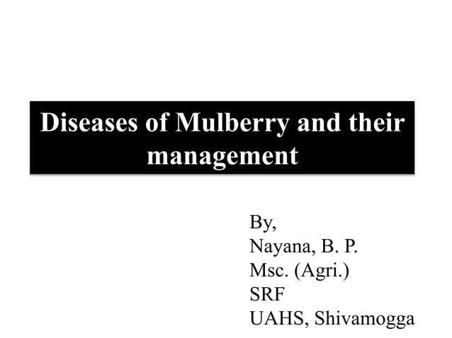 4 b chapter diseases of mulberry and their management | PPT