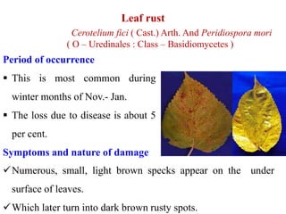 4 b chapter diseases of mulberry and their management | PPTX