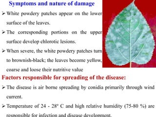 4 b chapter diseases of mulberry and their management | PPTX