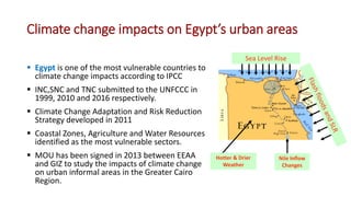 4b Egypt_ Country experience | PDF