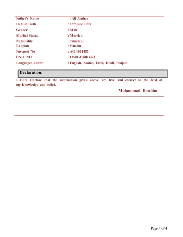 ( IBRAHIM CV ) | DOCX