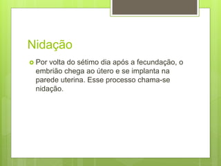 Fecundação, Gravidez e Parto | PPTX