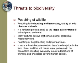 4 [Biodiversity 1] - Latest Res (1).ppt