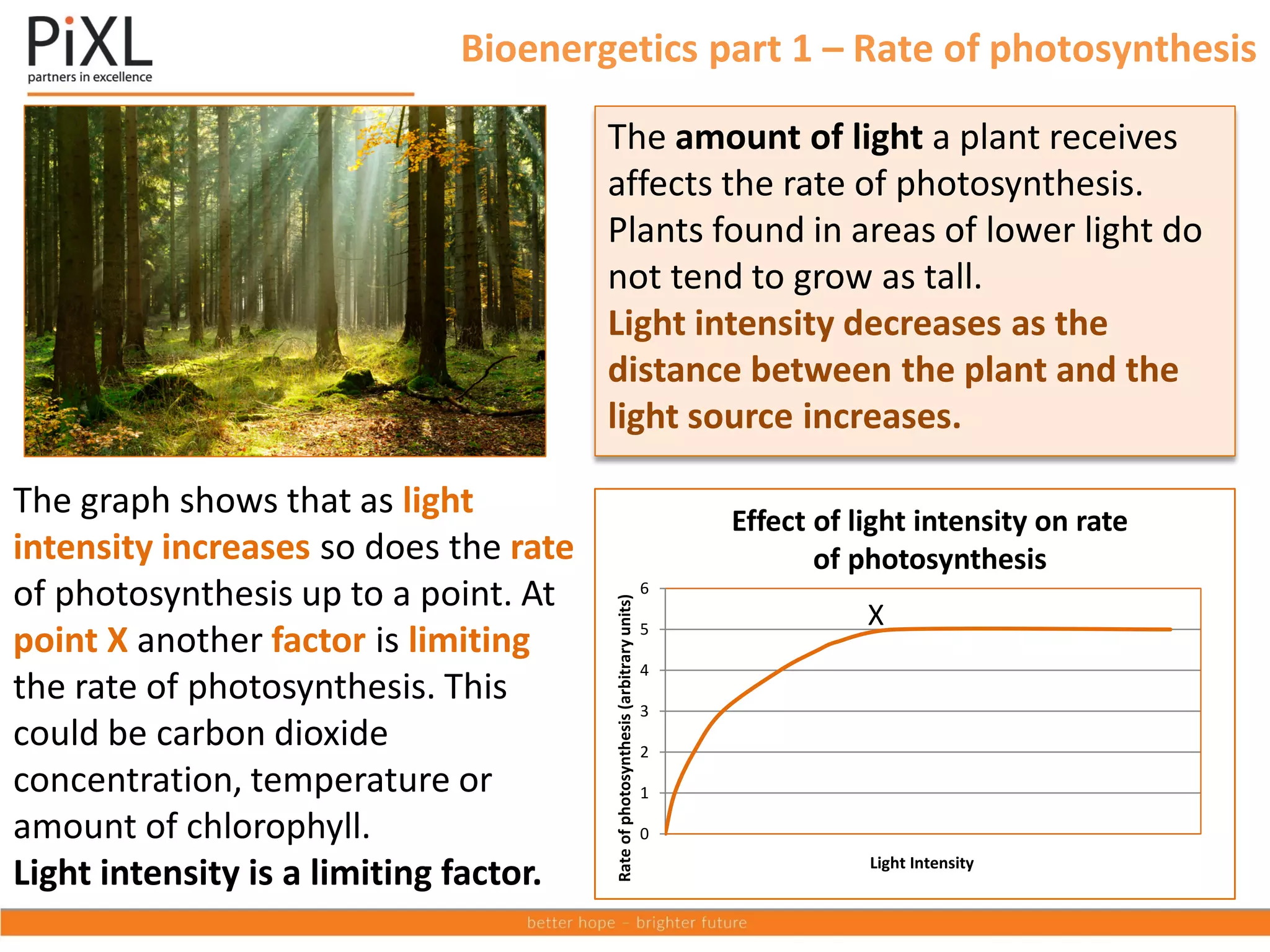 4 Bioenergetics KnowIT.pdf