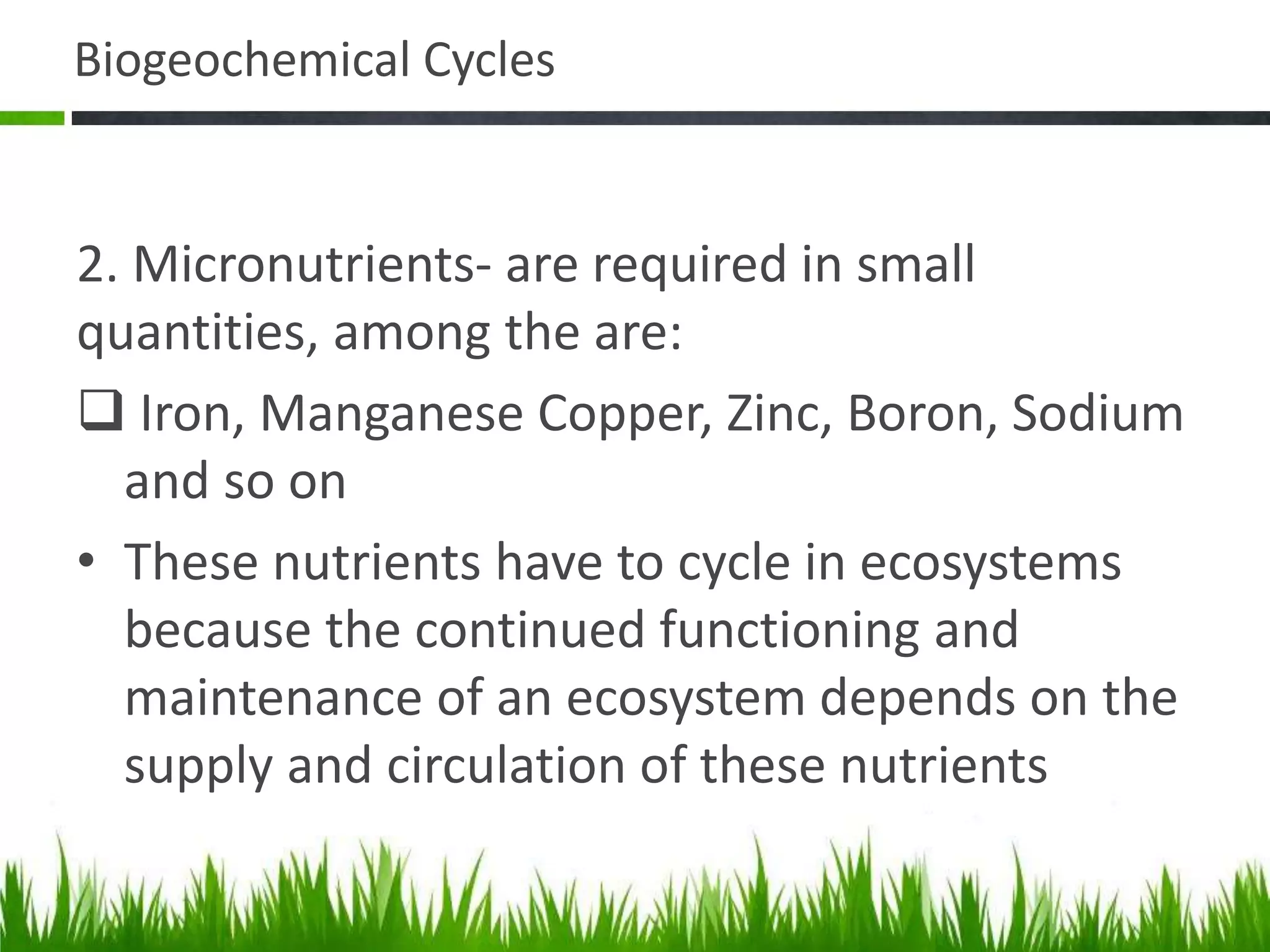 Biogeochemical Cycles | PPTX