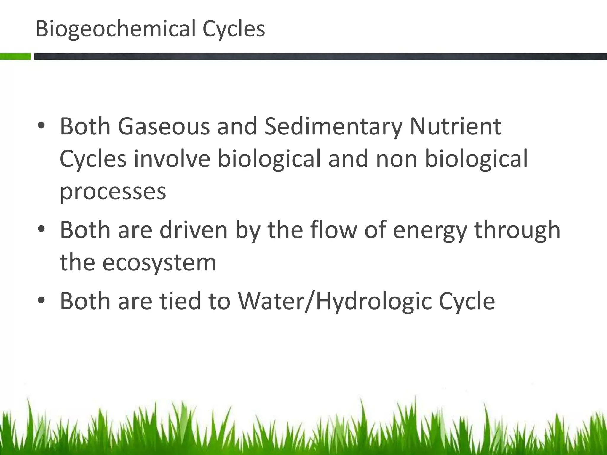 Biogeochemical Cycles | PPTX