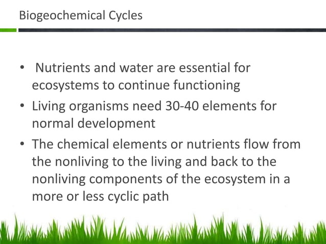 Biogeochemical Cycles | PPTX | Chemistry | Science
