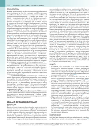 Biología celular glomerular y podocitopatías.pdf