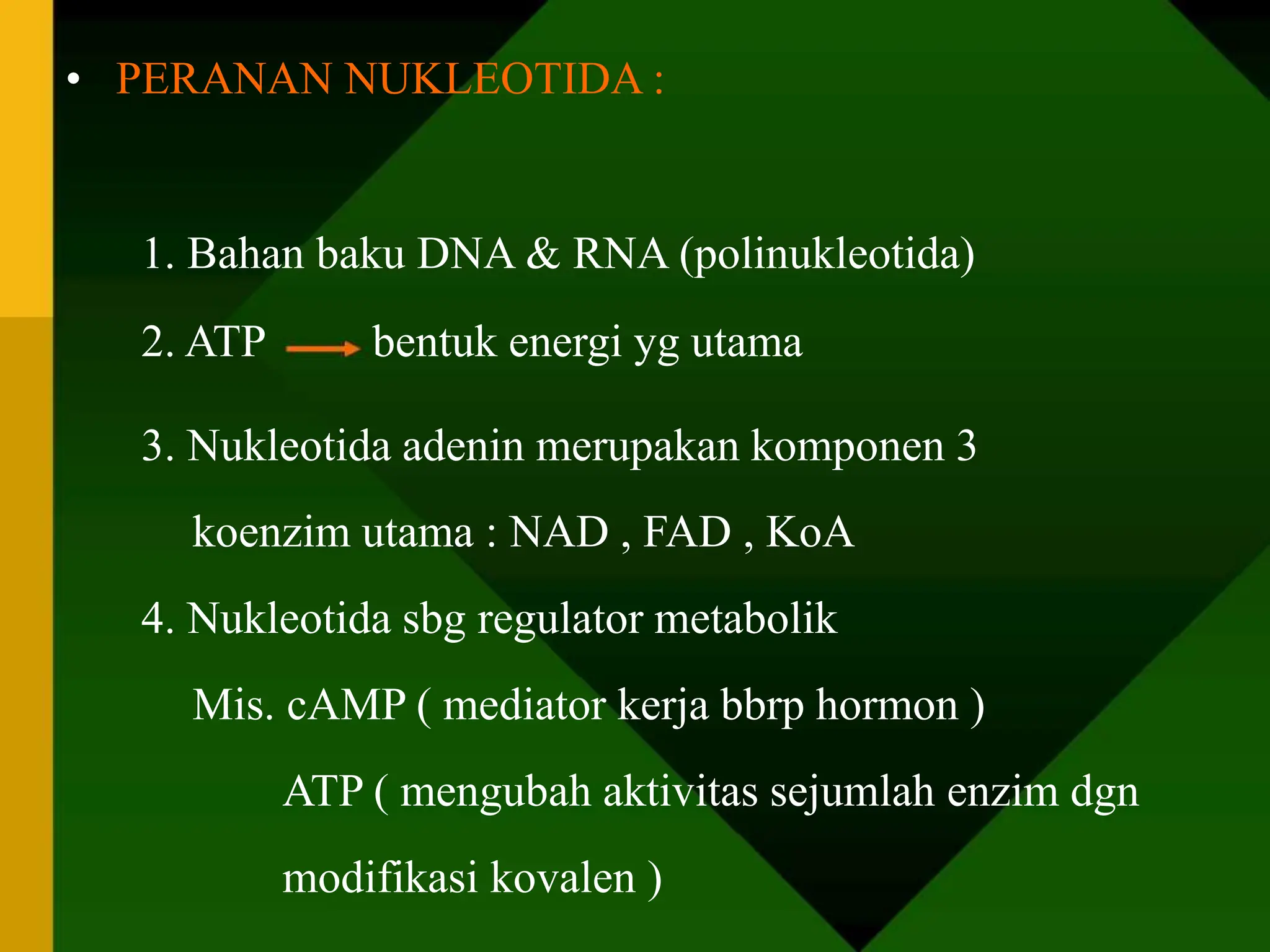 BIOMOLEKUL dalam ilmu biologi strata S1.pptx