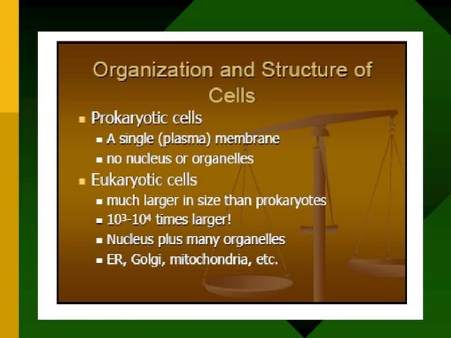 BIOMOLEKUL dalam ilmu biologi strata S1.pptx