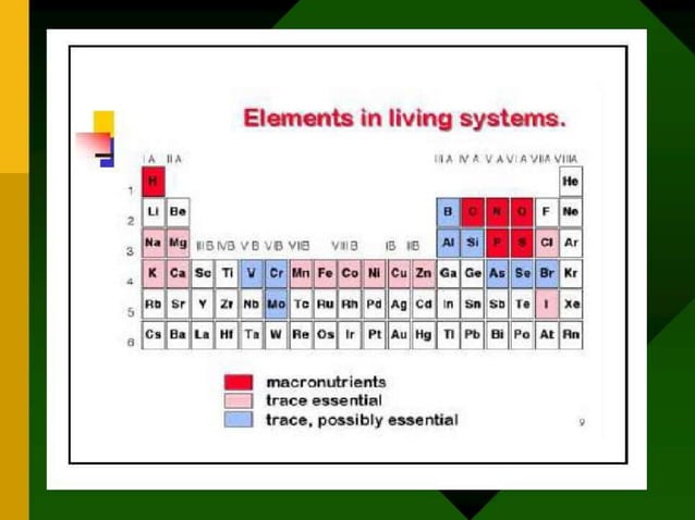BIOMOLEKUL dalam ilmu biologi strata S1.pptx