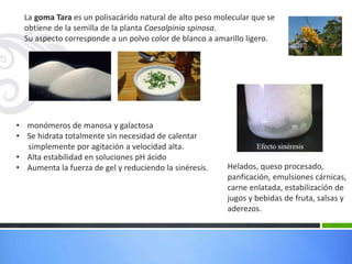 4 biopolimeros parte 2 | PPTX