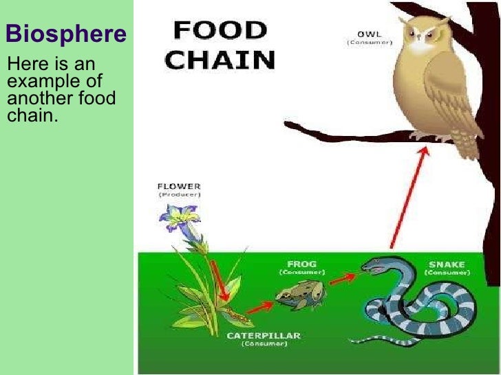 Biosphere Non Examples