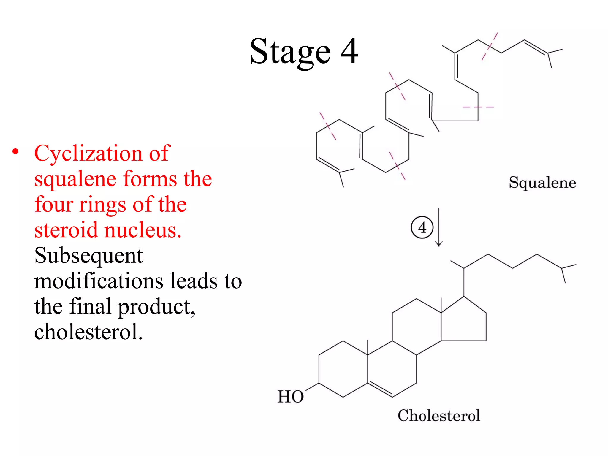 Biosynthesis of cholesterol --Sir Khalid (Biochem) | PPT