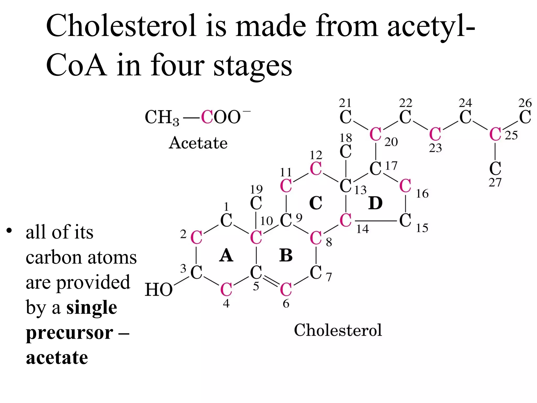 Biosynthesis of cholesterol --Sir Khalid (Biochem) | PPT