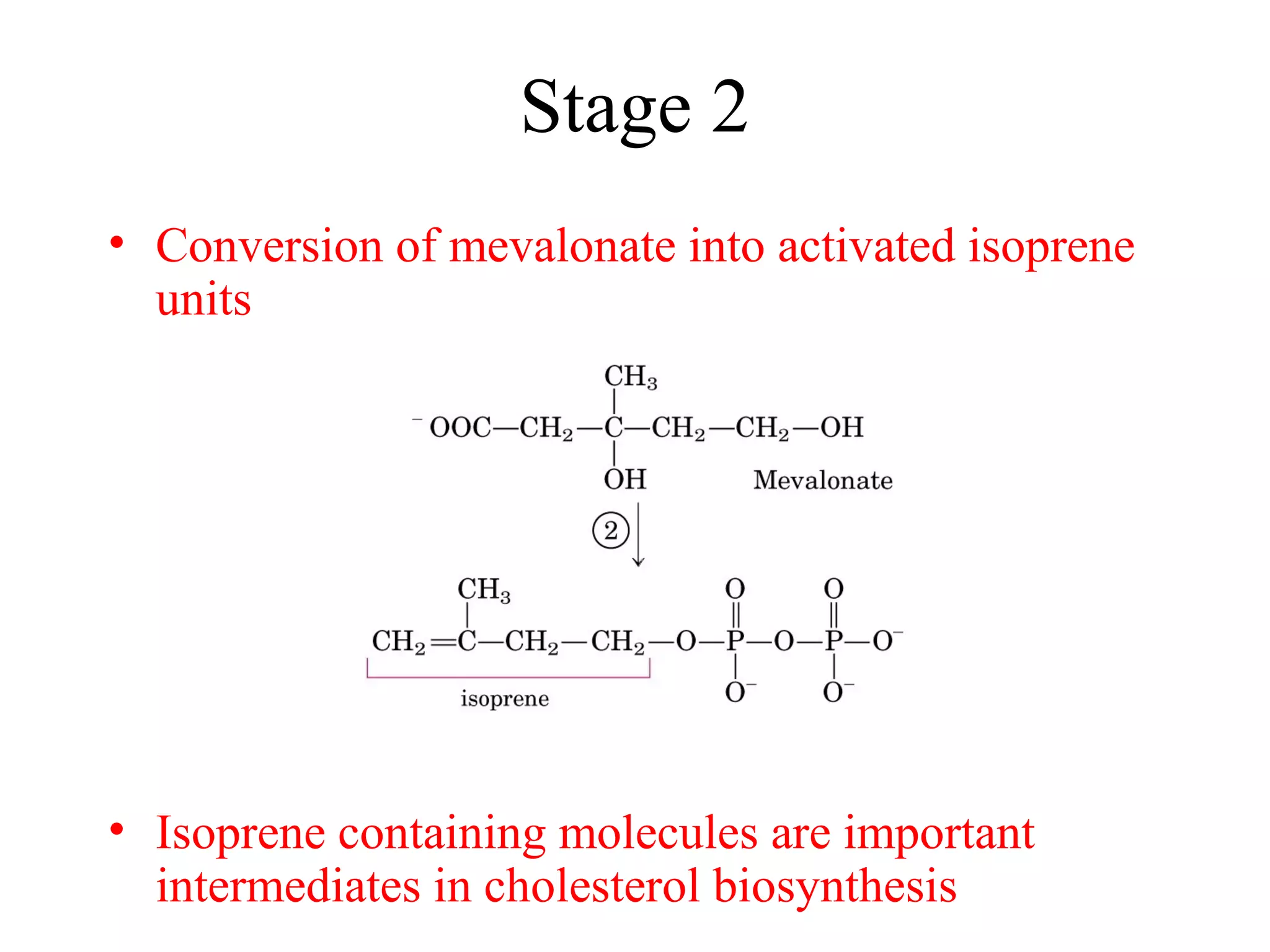 Biosynthesis of cholesterol --Sir Khalid (Biochem) | PPT