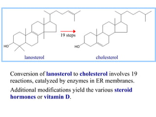 Biosynthesis of cholesterol --Sir Khalid (Biochem) | PPT