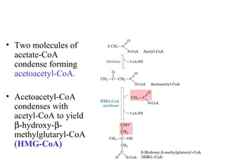 Biosynthesis of cholesterol --Sir Khalid (Biochem) | PPT