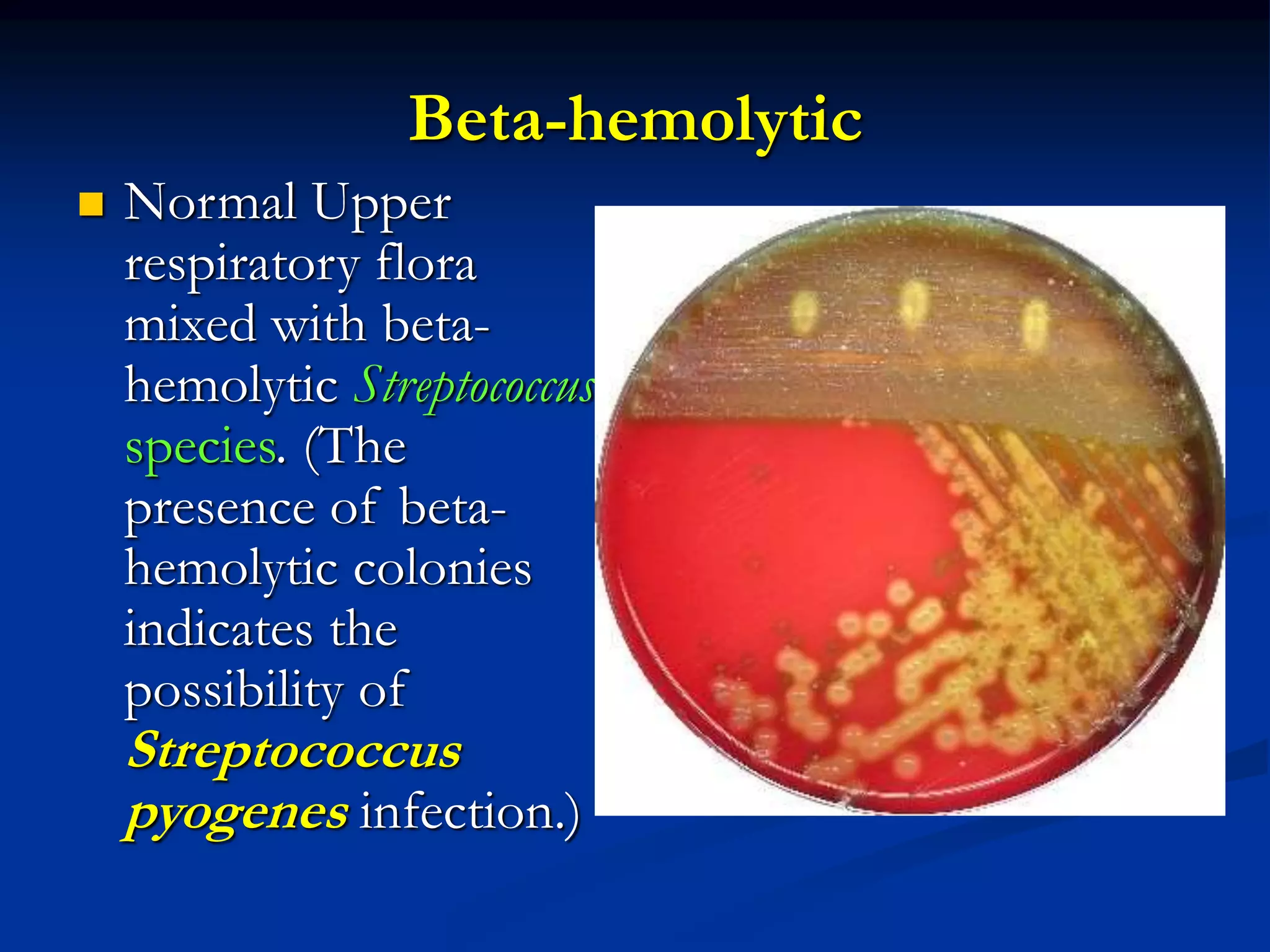 4 blood agar and hemolysis and mac-conkey.ppt