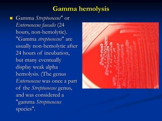 4 blood agar and hemolysis and mac-conkey.ppt