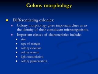 4 blood agar and hemolysis and mac-conkey.ppt